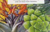 Books | World of Succulents