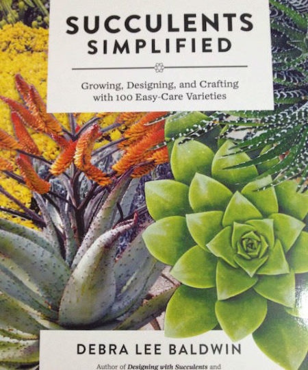 Book: Succulents Simplified - World of Succulents